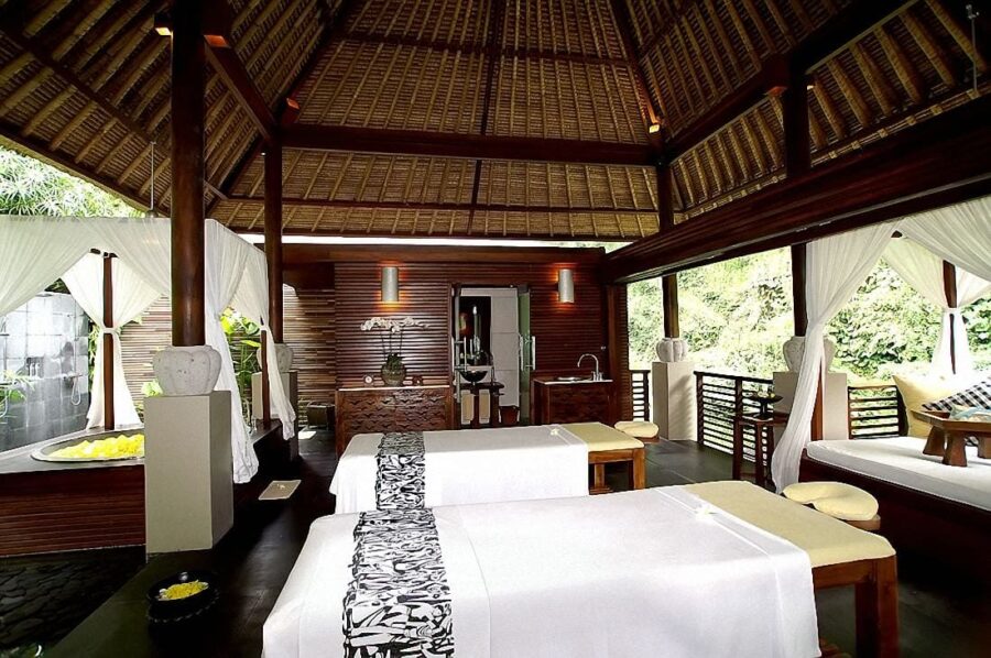 8 Best Things To Do in Ubud - Lush Palm