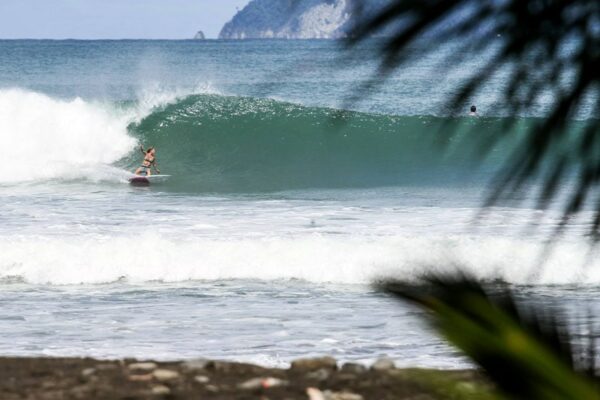 The Surf in Costa Rica / A Guide to the Regions, Seasons, and Breaks