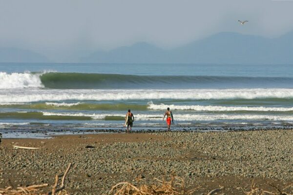 The Surf in Costa Rica / A Guide to the Regions, Seasons, and Breaks