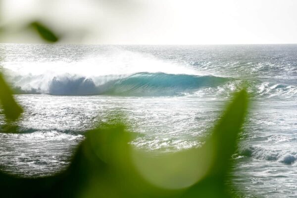 Banzai Pipeline / THE Guide to the World’s Most Famous Wave