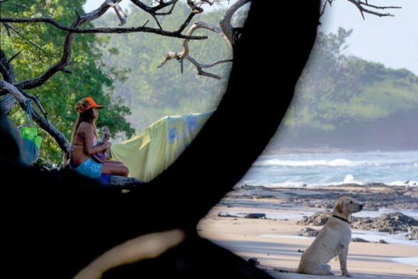 Travel with Kids / One Family's Surfing Road Trip from California to ...