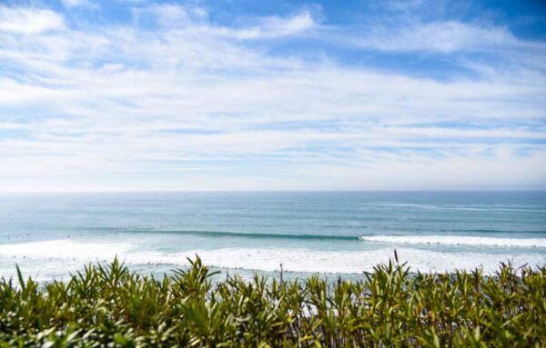 A Surfer's Guide to Encinitas, California