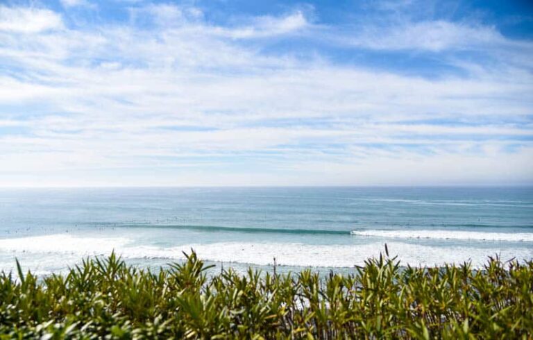 A Surfer's Guide to Encinitas, California