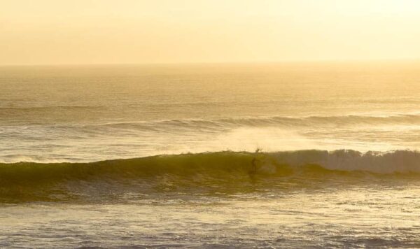 Baja Surf Trip / A Couple Weeks of Fun Waves, Tacos, and Wine