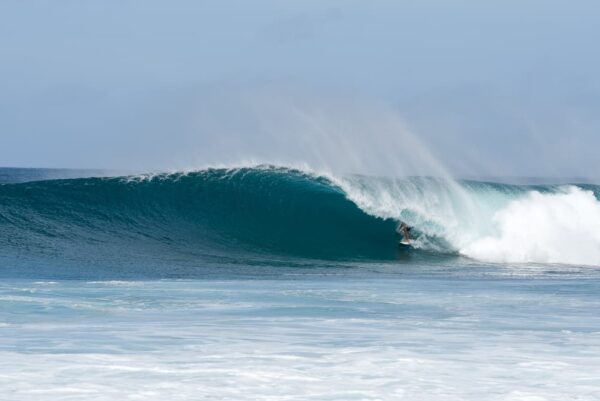 North Shore Surf Competitions 2021 - 2022 / The Ultimate Guide