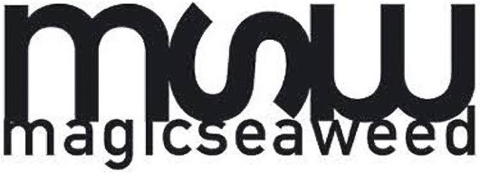 The Top Surf Report And Surf Forecast Websites In The World