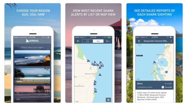 10 Awesome Surf Apps You Need To Know About