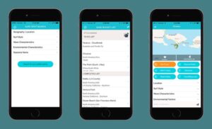 This Surf App Will Help You Find Your Perfect Waves