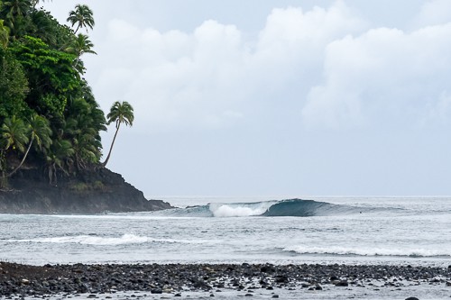 Surf Travel Resources | Lush Palm