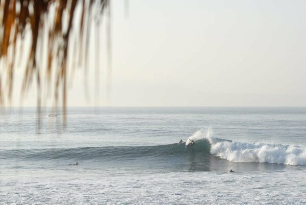 Surfing Indonesia / Everything You Need to Know