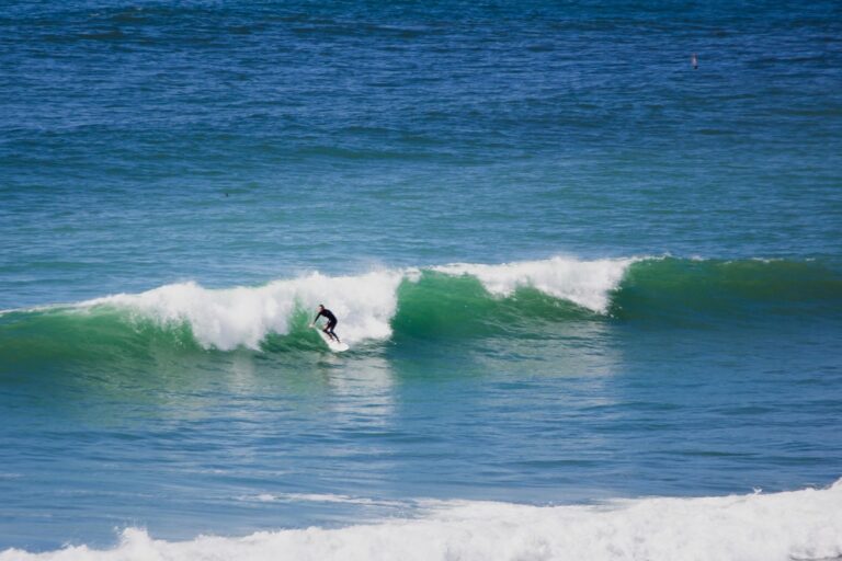 Surfing California / Everything You Need to Know