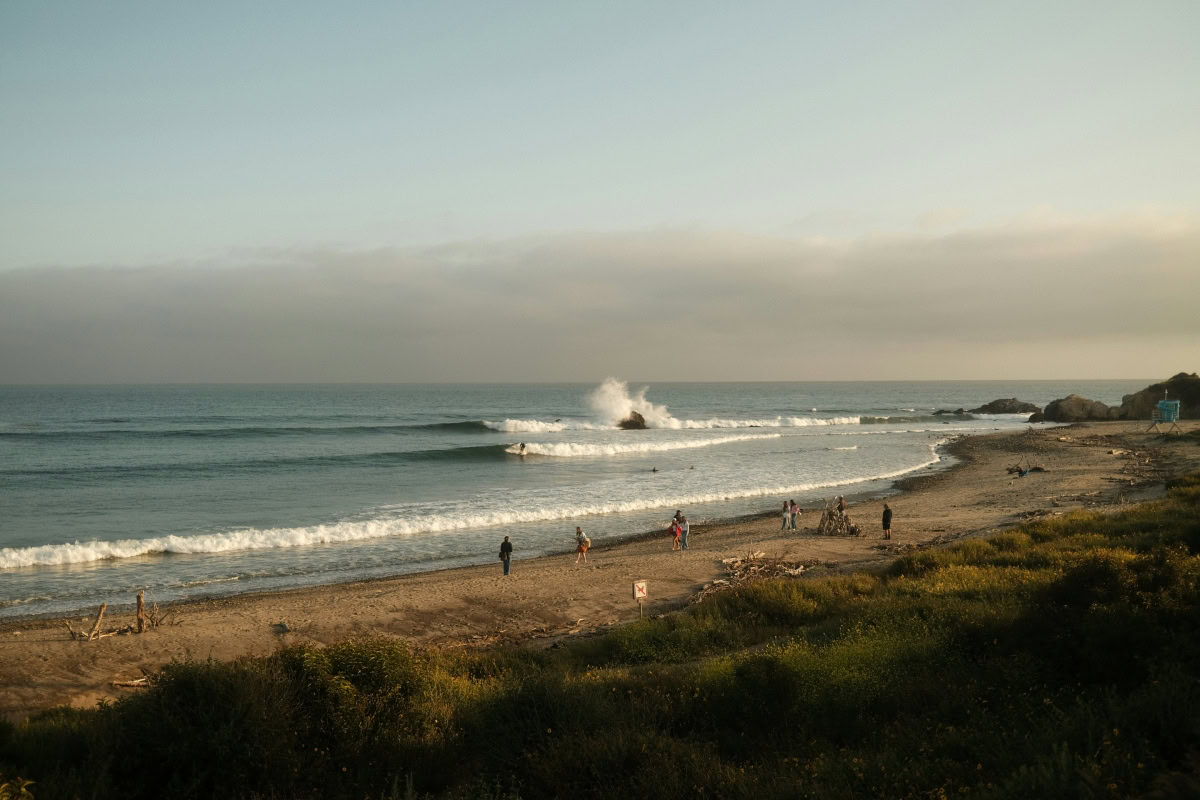 Surfing California / Everything You Need to Know