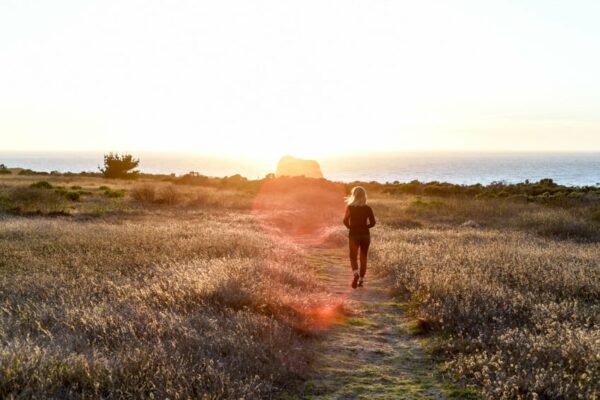 Surfing California / Everything You Need to Know