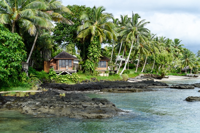 Surf Trip Inquiry - Lush Palm