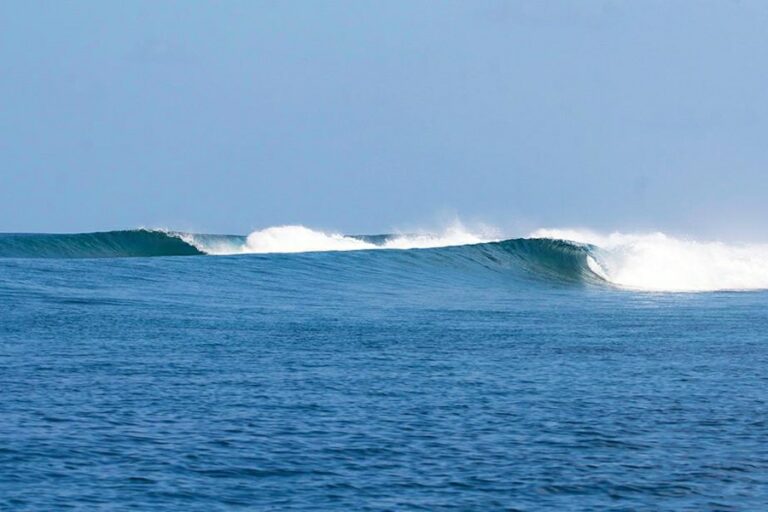 Maldives Surf Guide / Plan Your Surf Trip to Paradise