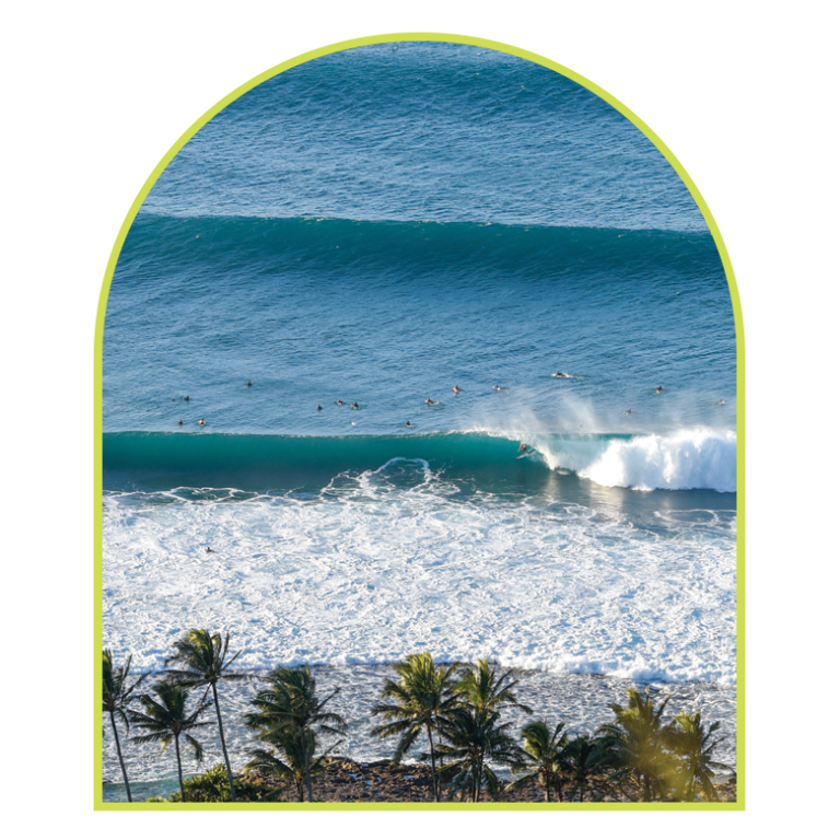 Lush Palm | Surf Travel and Lifestyle for the Modern Surfer