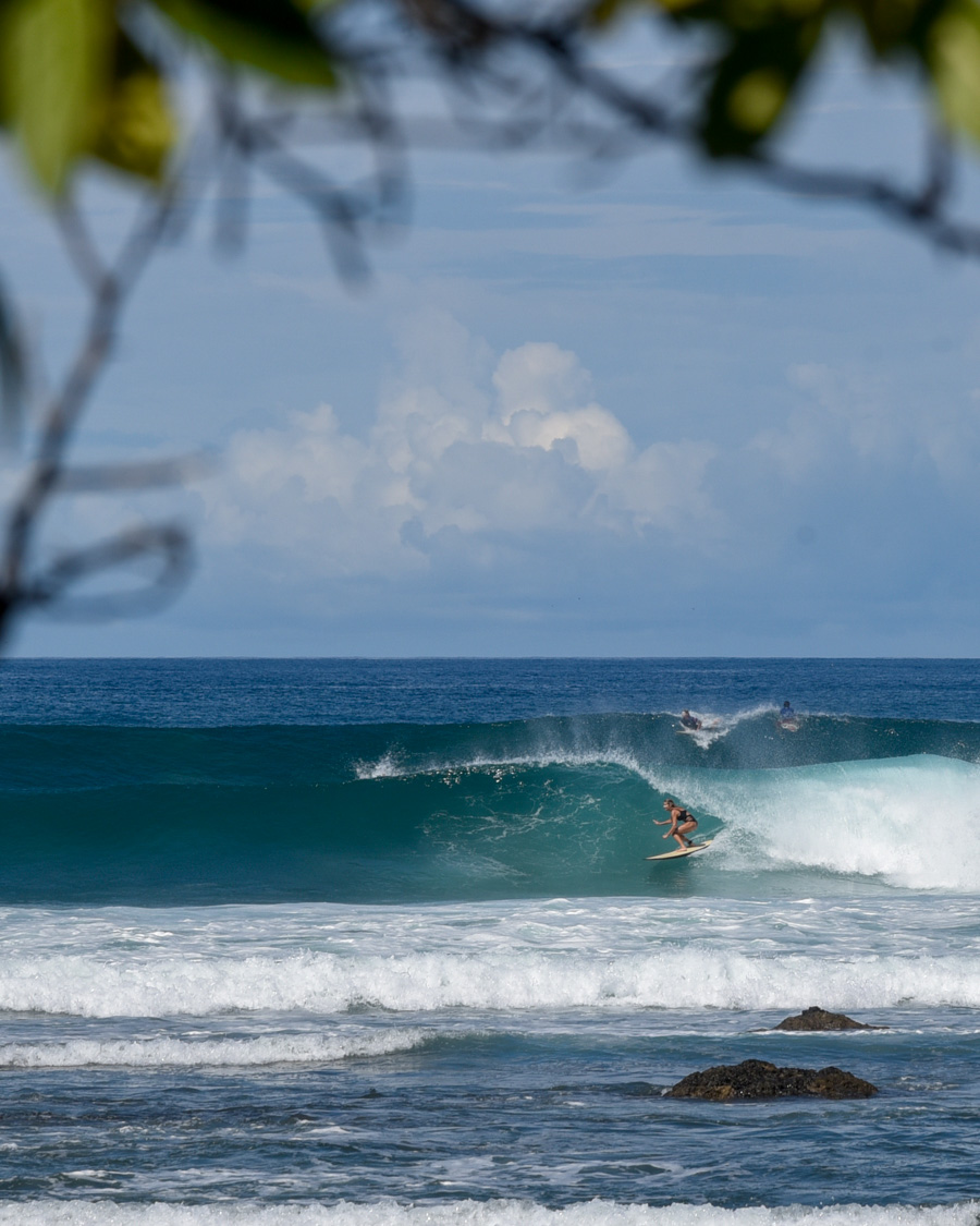 Luxury Surf Vacations // Lush Palm