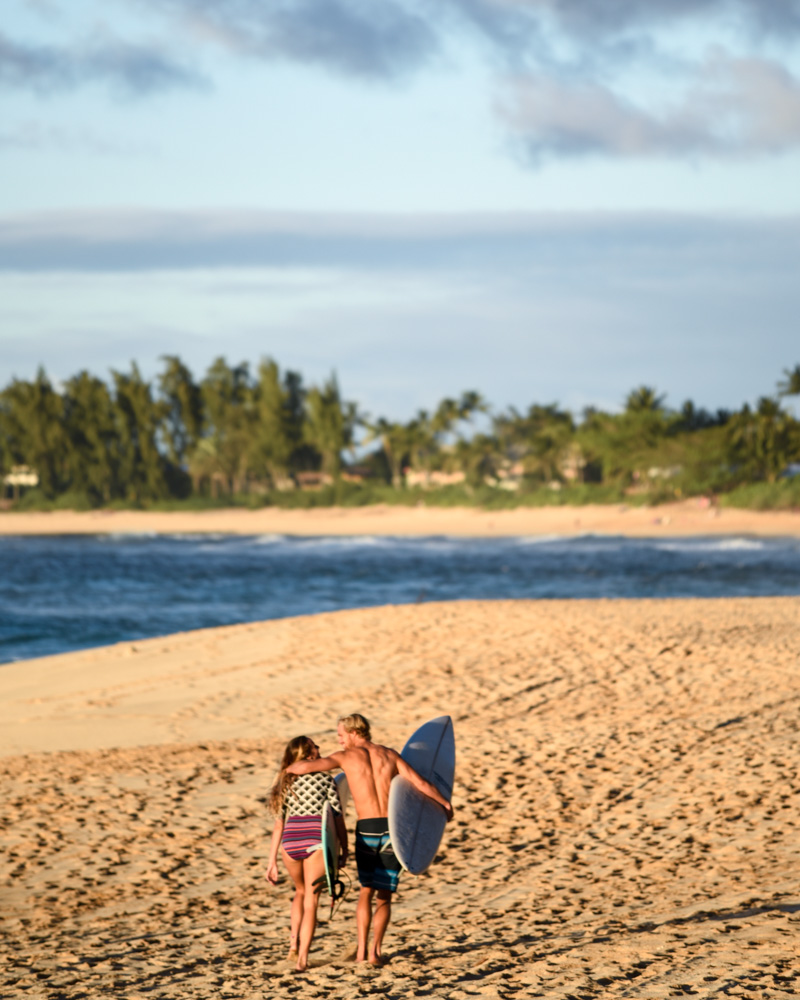 Luxury Surf Vacations // Lush Palm