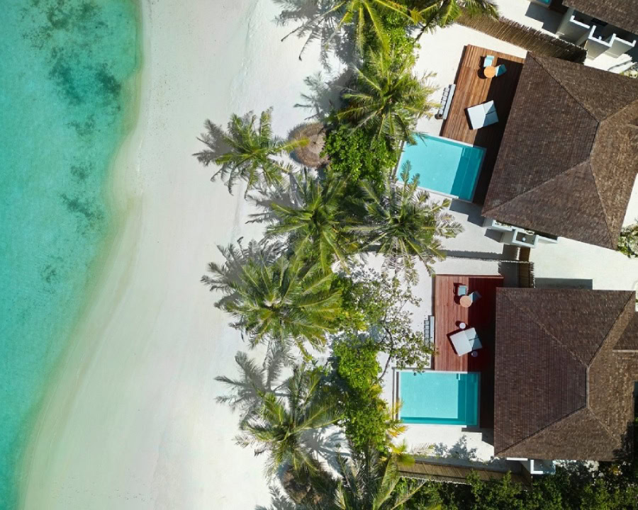 Anantara Veli / Lush Palm